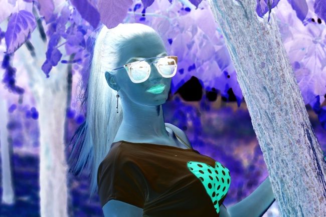 Invert - Image Tools: filter - PhotoKit.com